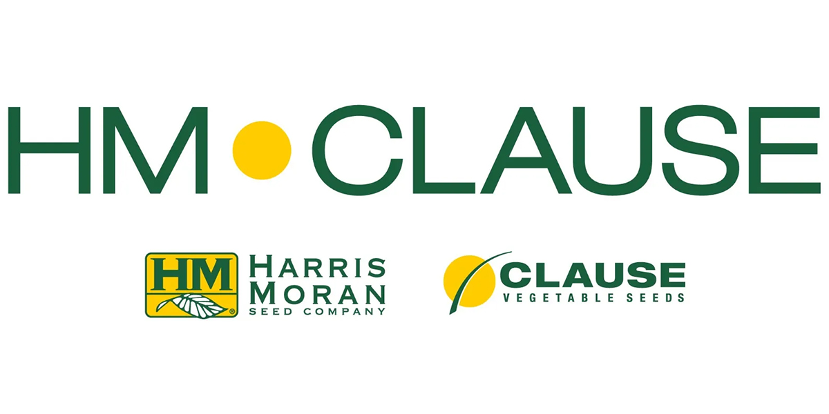 HM.CLAUSE presenta a Fruit Logistica il nuovo pomodoro Marmande ...