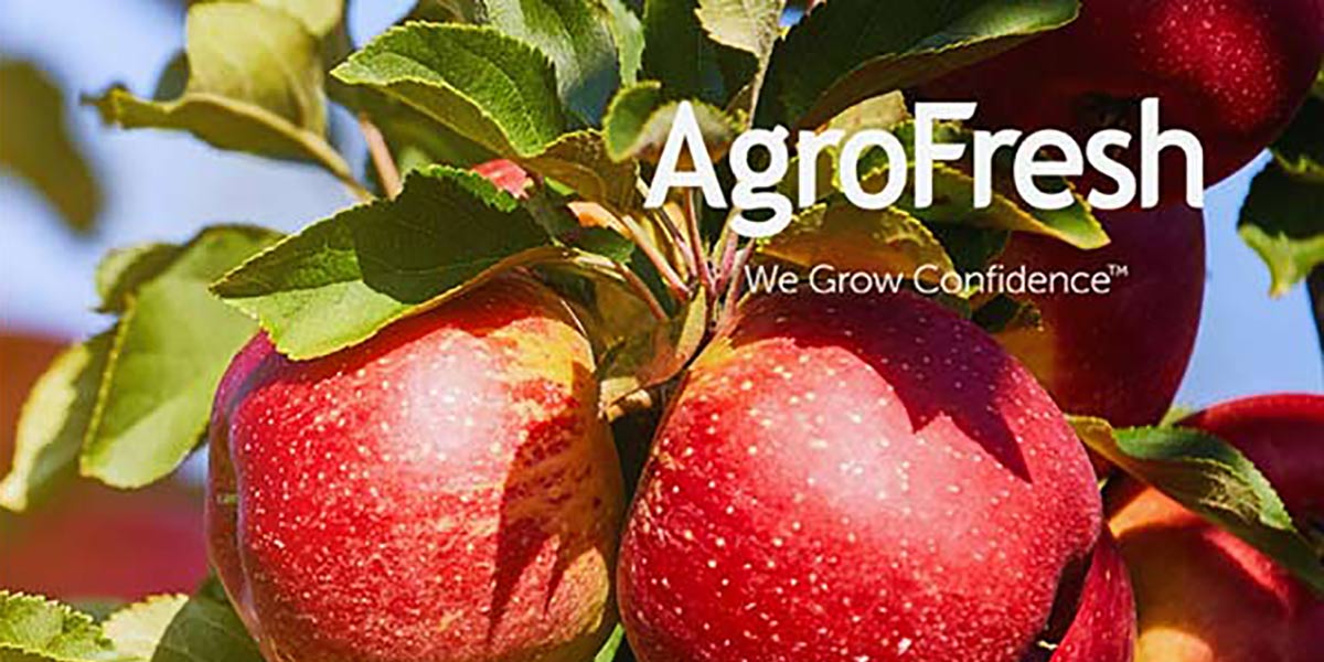 20 anni di qualità e freschezza con SmartFresh™ - Italiafruit News