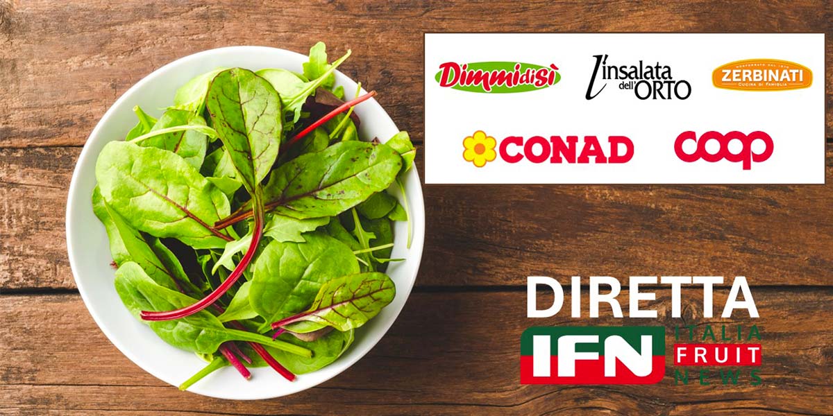 La IV Gamma, come ridare sprint alla categoria - Italiafruit News