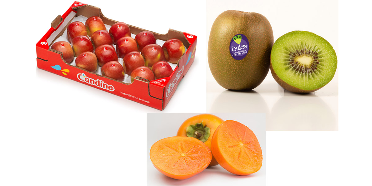 Apofruit, l'eccellenza made in Italy in primo piano a Fruit Attraction ...