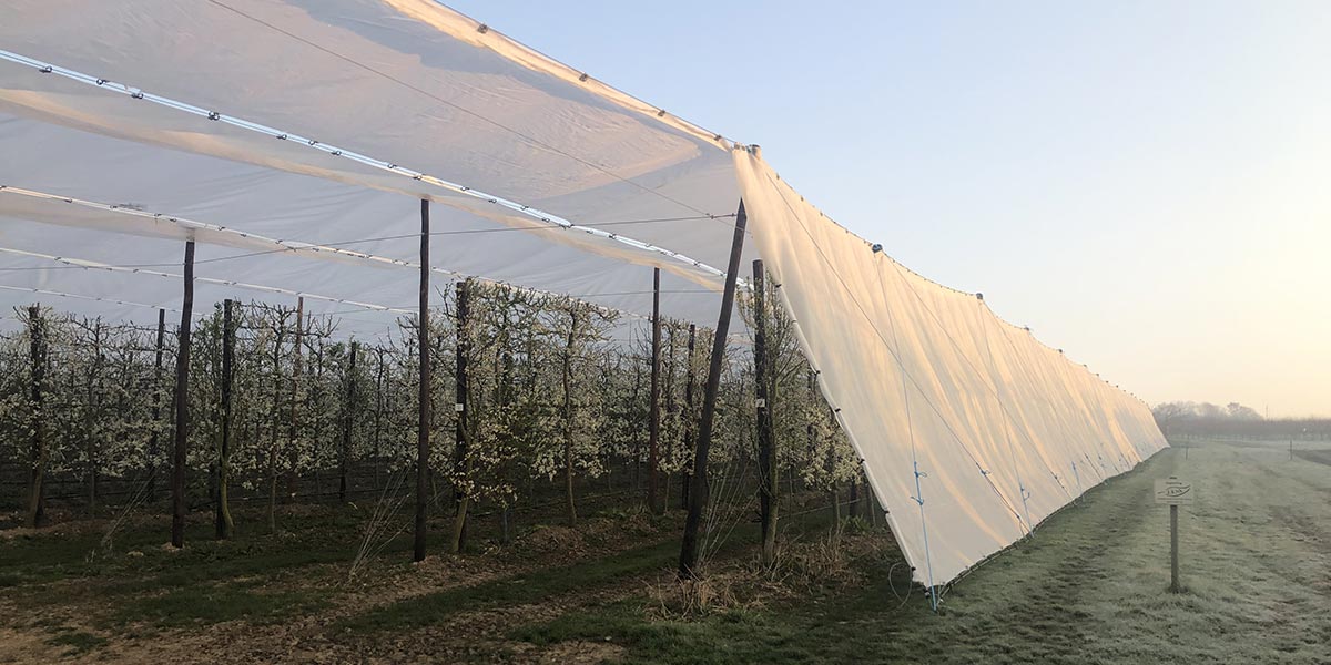 Arrigoni: pronte tante novità per Macfrut 2024 - Italiafruit News