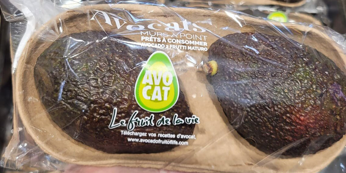 Avocado, eccolo in versione ready to eat - Italiafruit News