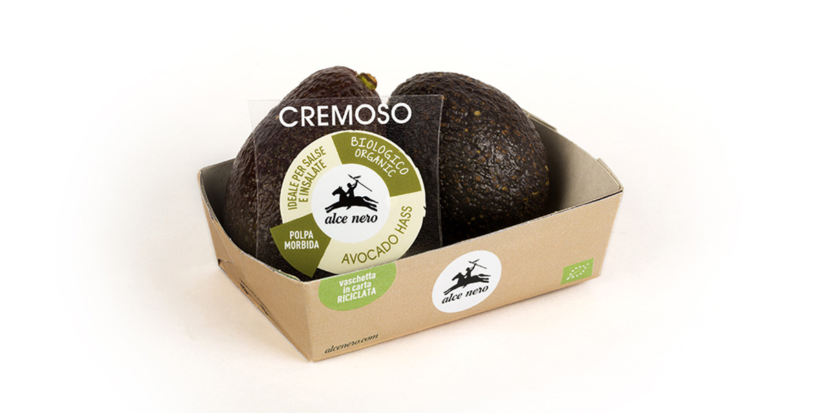 Brio presenta l'avocado biologico made in Italy - Italiafruit News