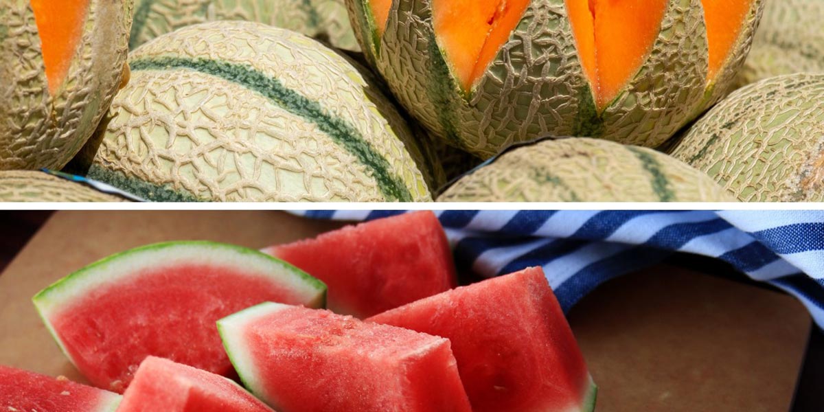 Prezzi alle stelle per angurie e meloni - Italiafruit News