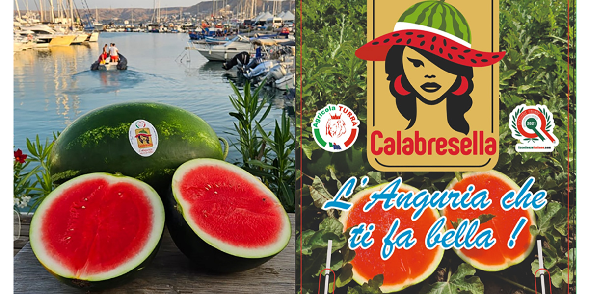 Calabresella, l’anguria made in Calabria racconta il bello di un ...