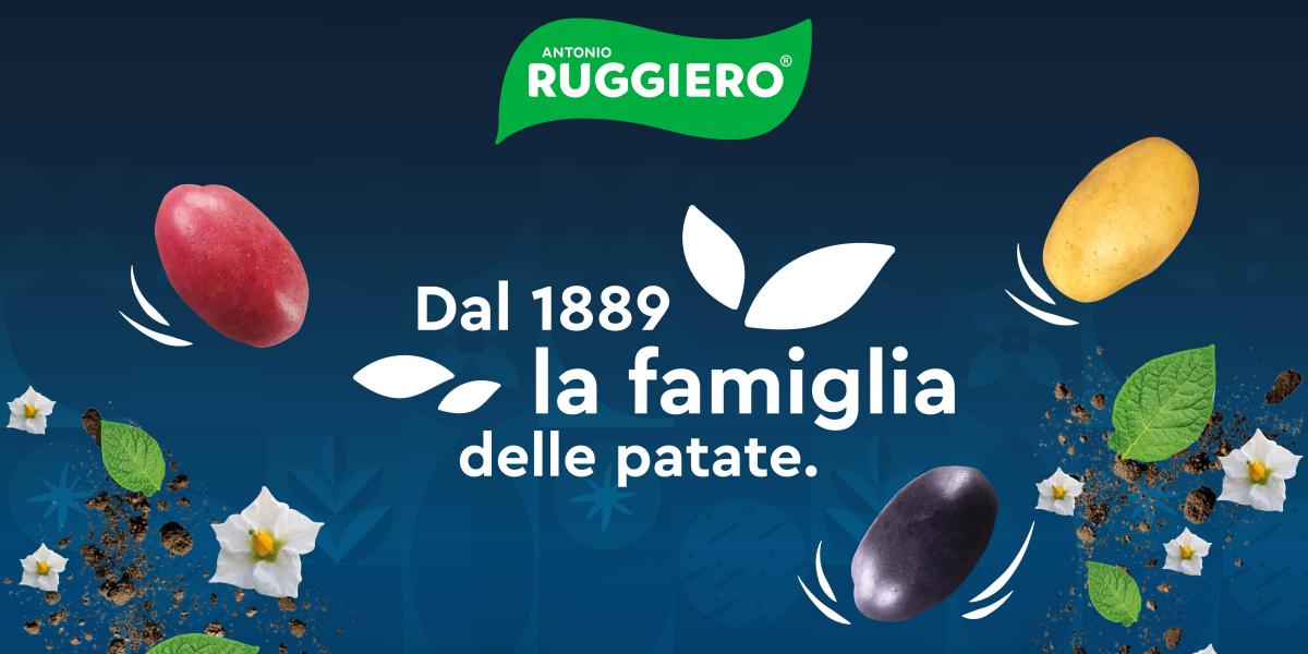 Patate, Antonio Ruggiero torna in comunicazione - Italiafruit News