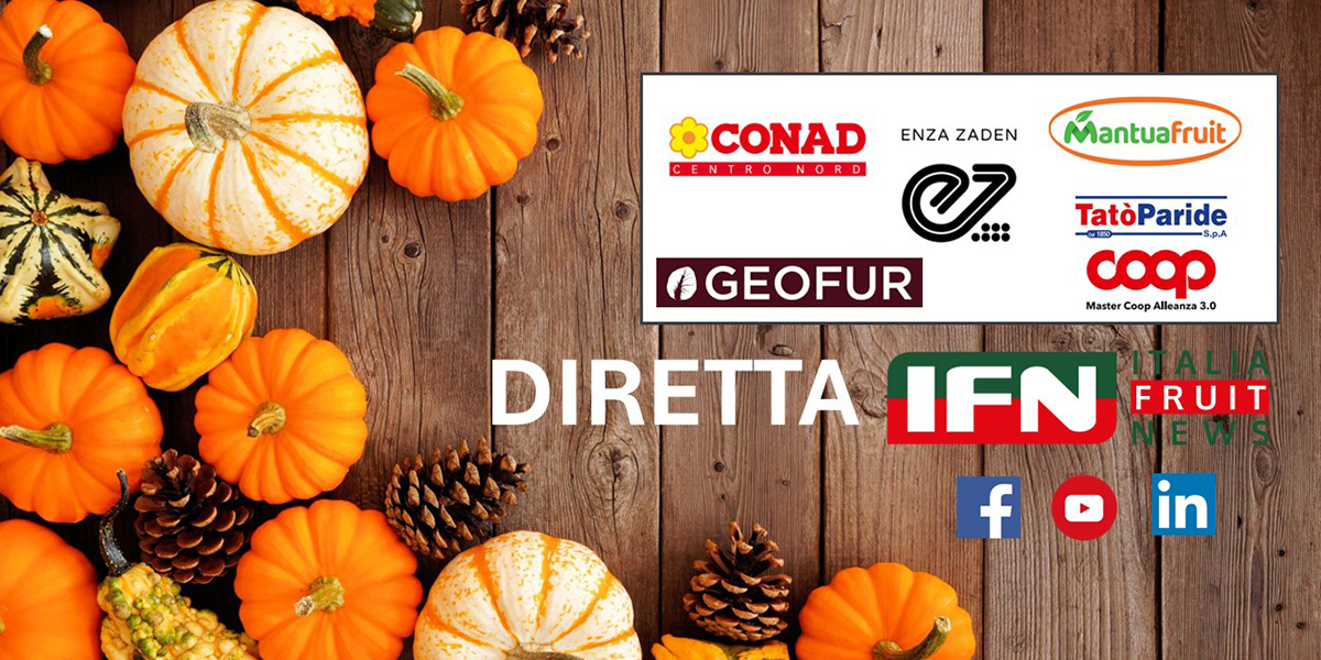 Il nuovo ciclo della zucca: consumi in crescita, innovazione spinta e ...