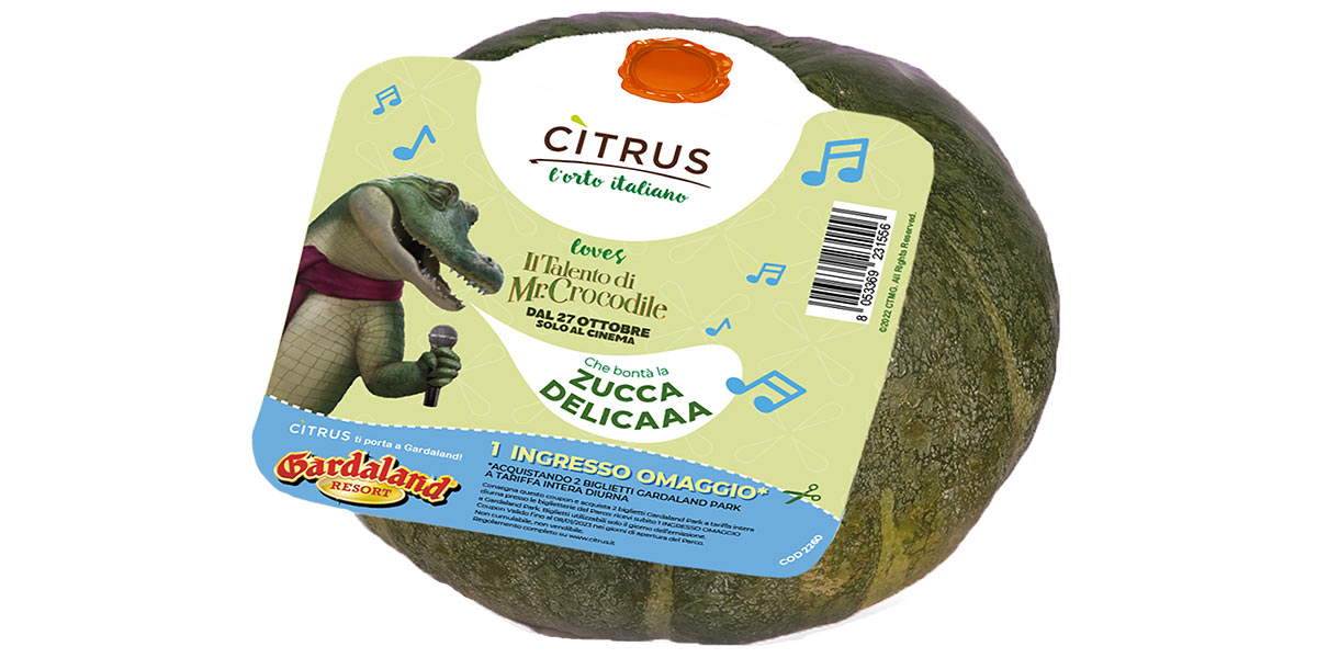 «Il talento di Mr Crocodile», ecco la zucca di Citrus - Italiafruit News