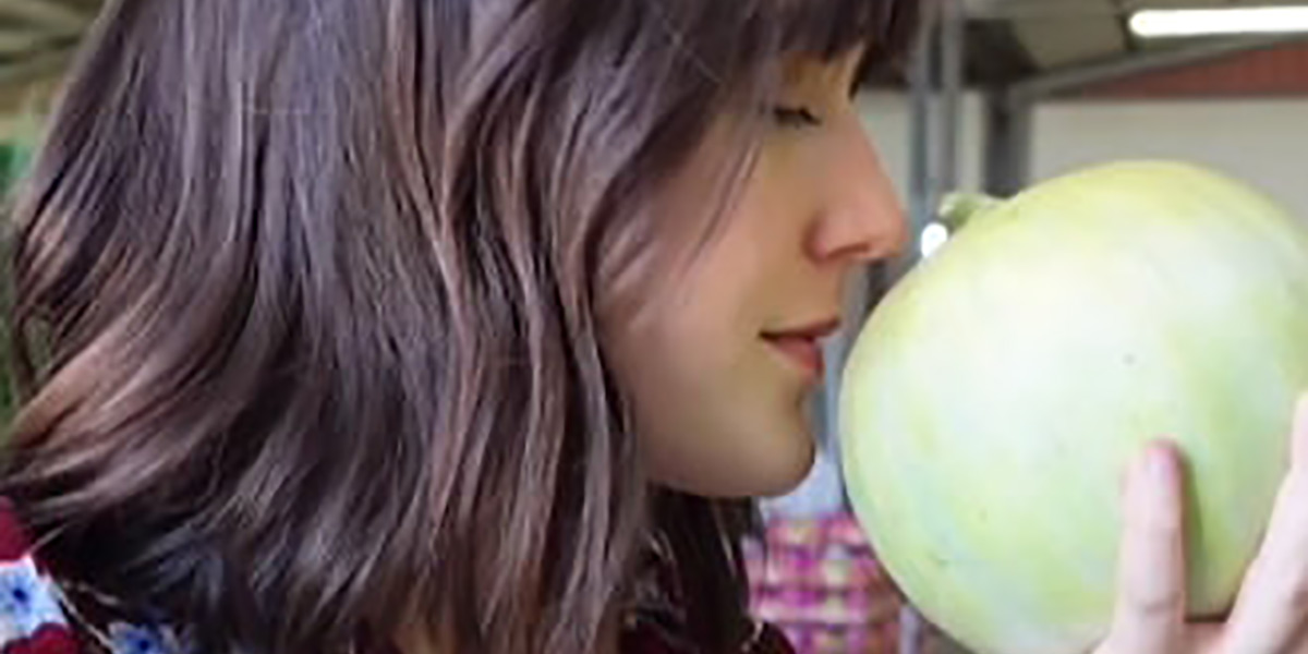 Il melone liscio mantovano è protagonista su Instagram - Italiafruit News