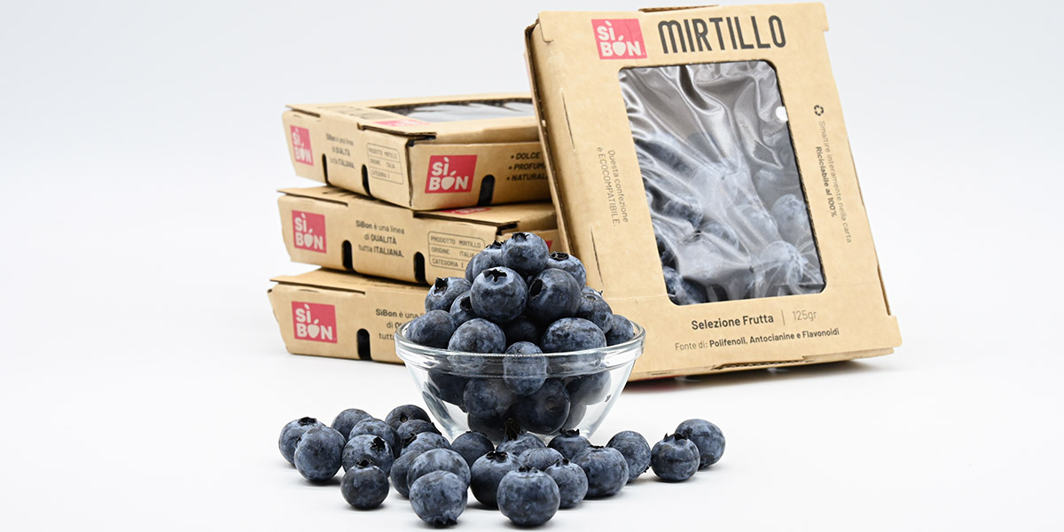 Piccoli frutti, verso il modello inglese - Italiafruit News