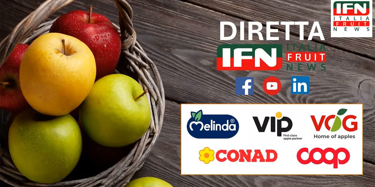 Il sistema melicolo “tiene” ma le sfide non mancano - Italiafruit News