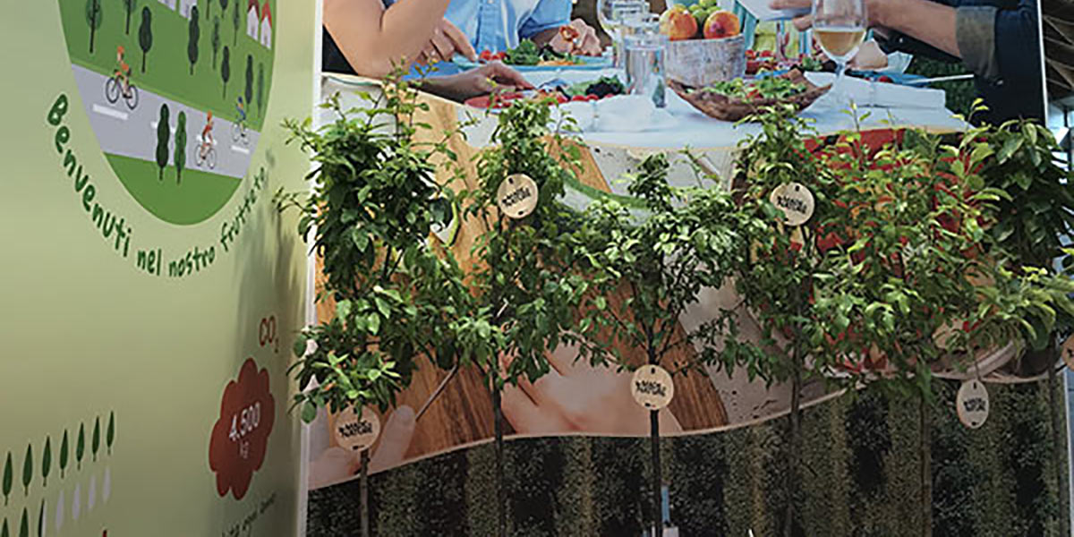 Frutteto a Zero Emissioni, piantato il primo albero - Italiafruit News