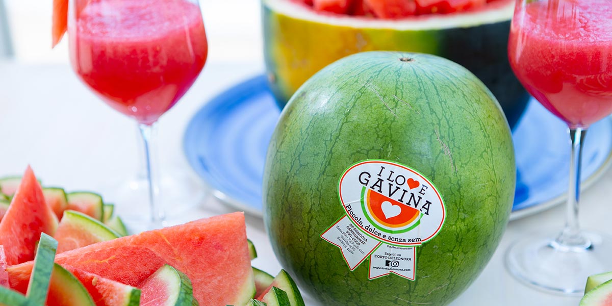 Anche quest’anno stessa spiaggia…e stessa Gavina! - Italiafruit News