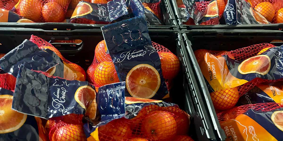 «Arance rosse, richieste vivaci dal Nord Europa» - Italiafruit News