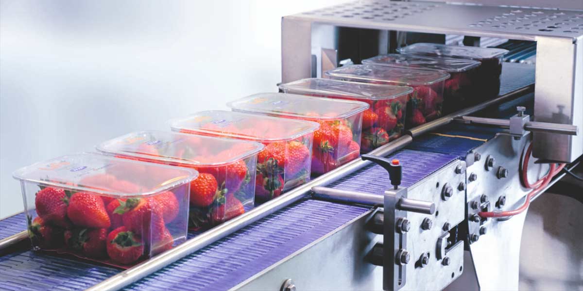 Ilip partner per una filiera ortofrutticola sempre più sostenibile ...