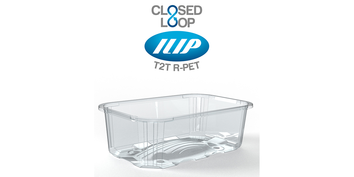 Packaging, Ilip a Fruit Logistica tra innovazione e sostenibilità ...