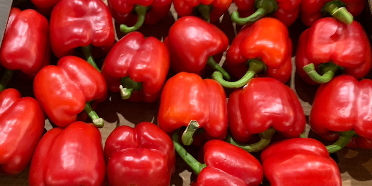 Ortaggi, quanto dureranno questi prezzi? - Italiafruit News