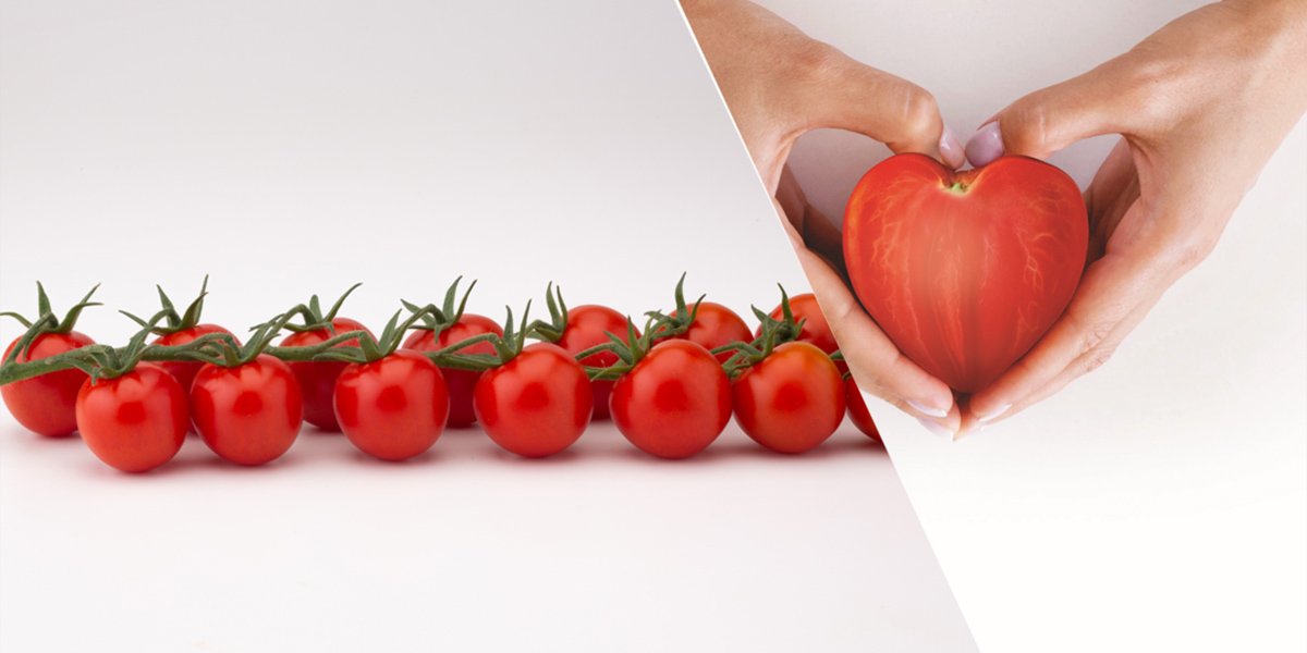 Pianeta Rosso: HM.Clause tra i grandi protagonisti - Italiafruit News