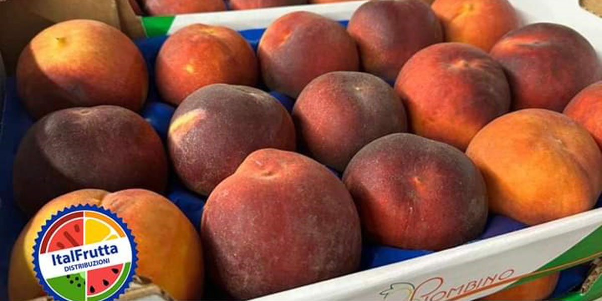 Percoche e pesche, continua la stagione positiva - Italiafruit News