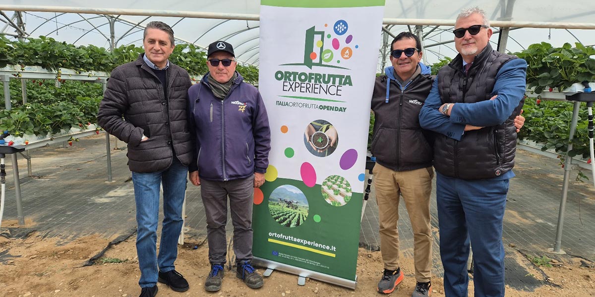 “Ortofrutta Experience”, alla scoperta del percorso di qualità della ...