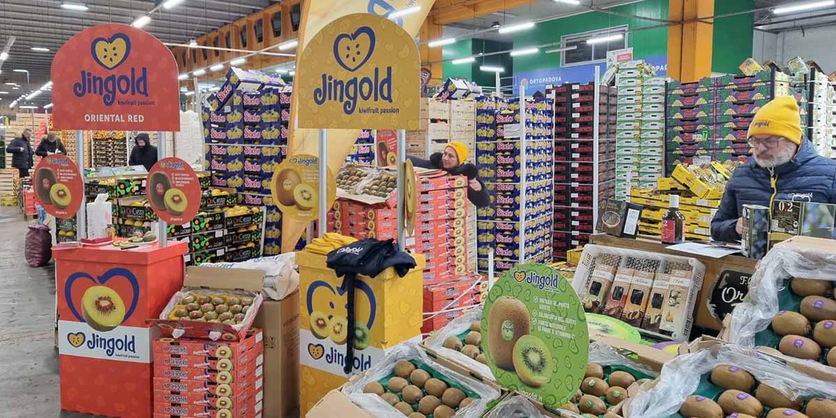 «Jingold, le promozioni spingono le vendite in tutto il mondo ...