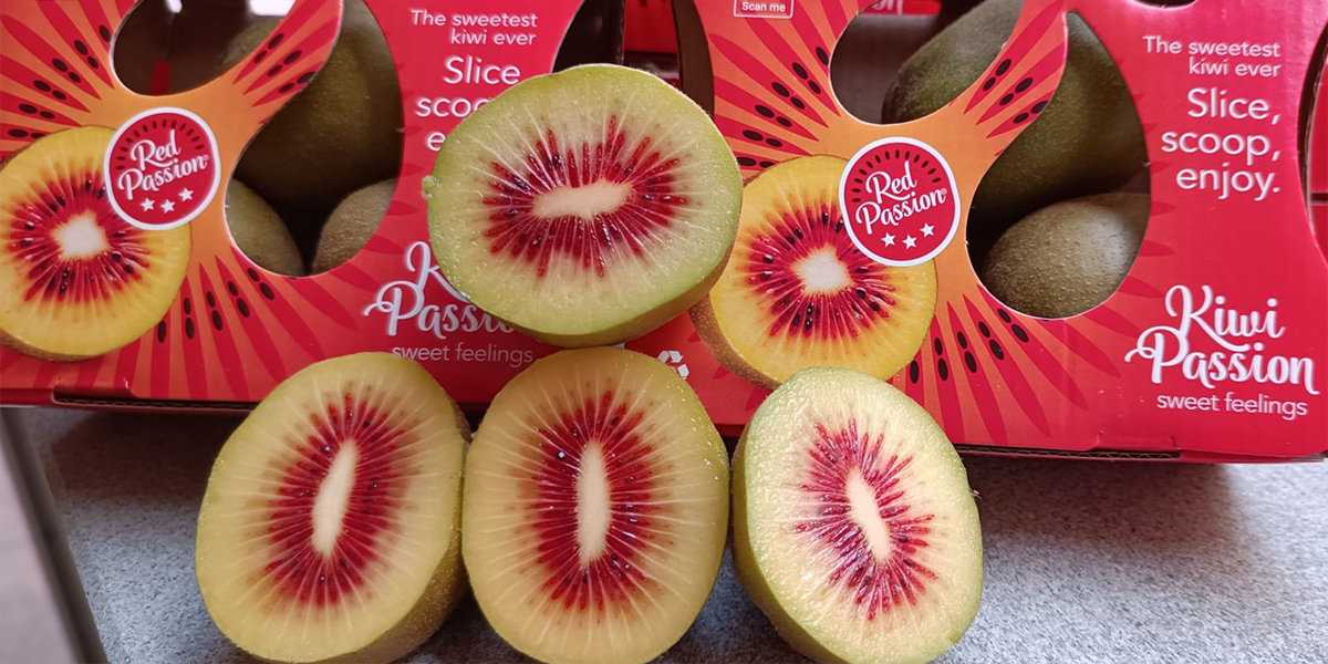 21° brix di dolcezza per conquistare il consumatore - Italiafruit News