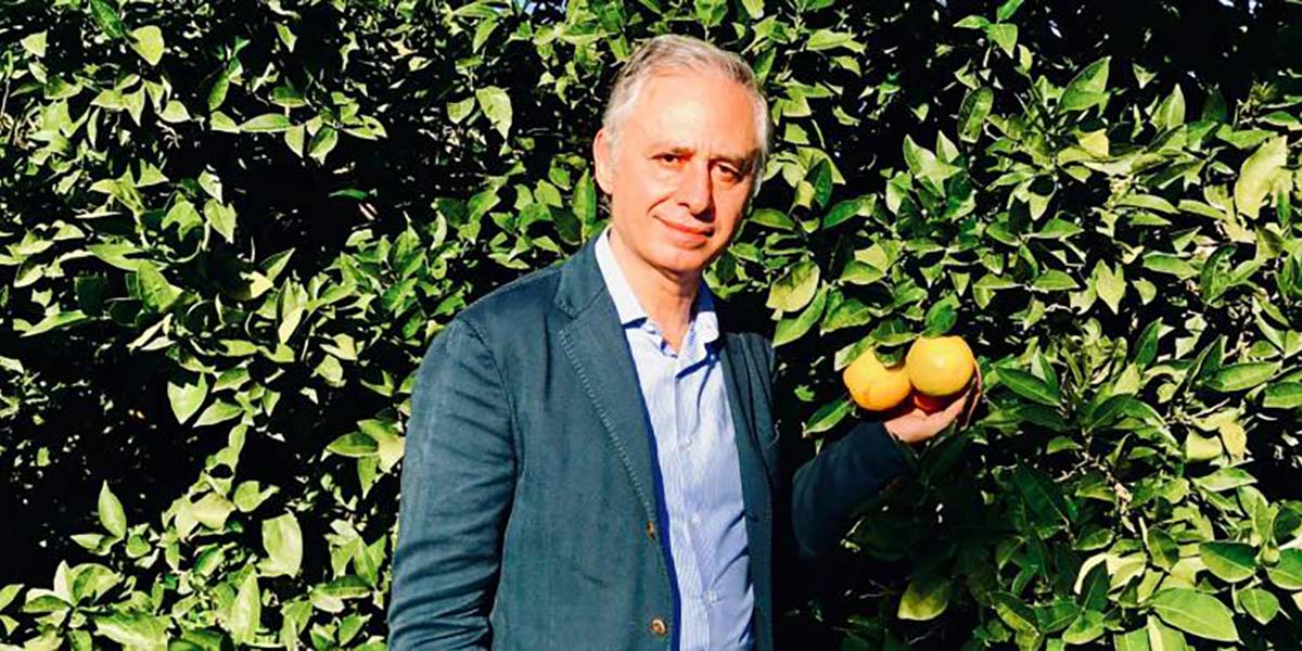 Oranfrizer-Unifrutti aumenterà la sua produzione di arance rosse ...