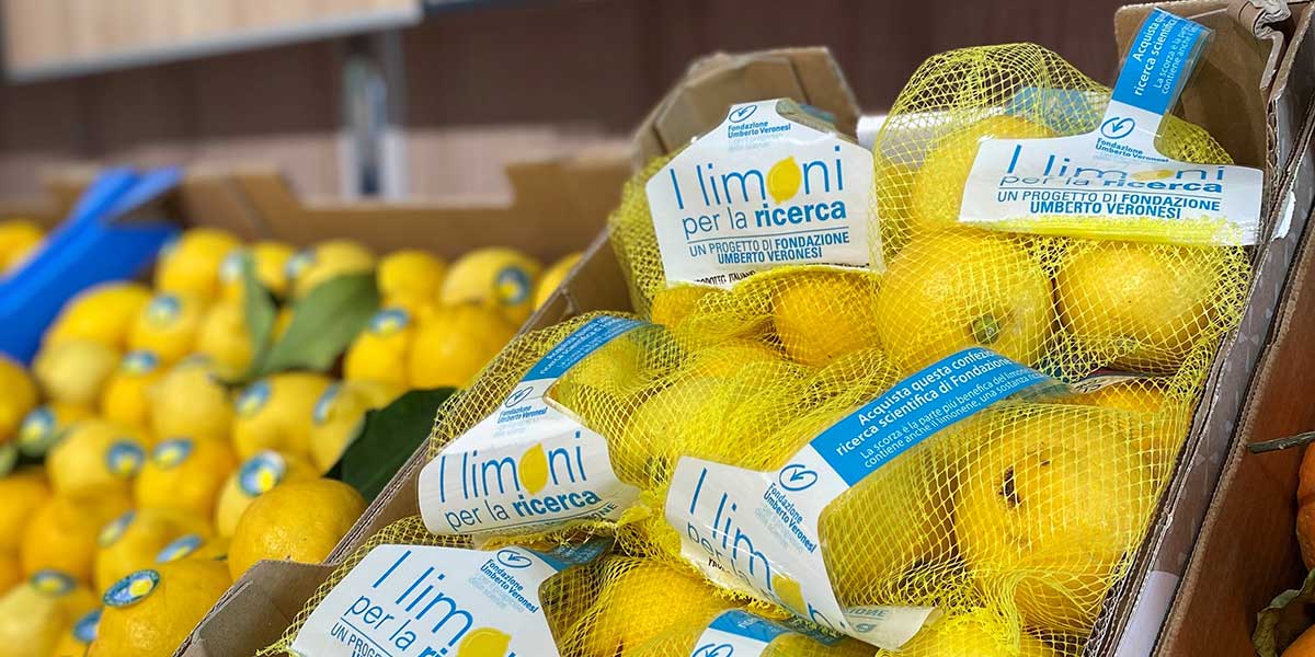 Lidl sostiene «I limoni per la ricerca» - Italiafruit News