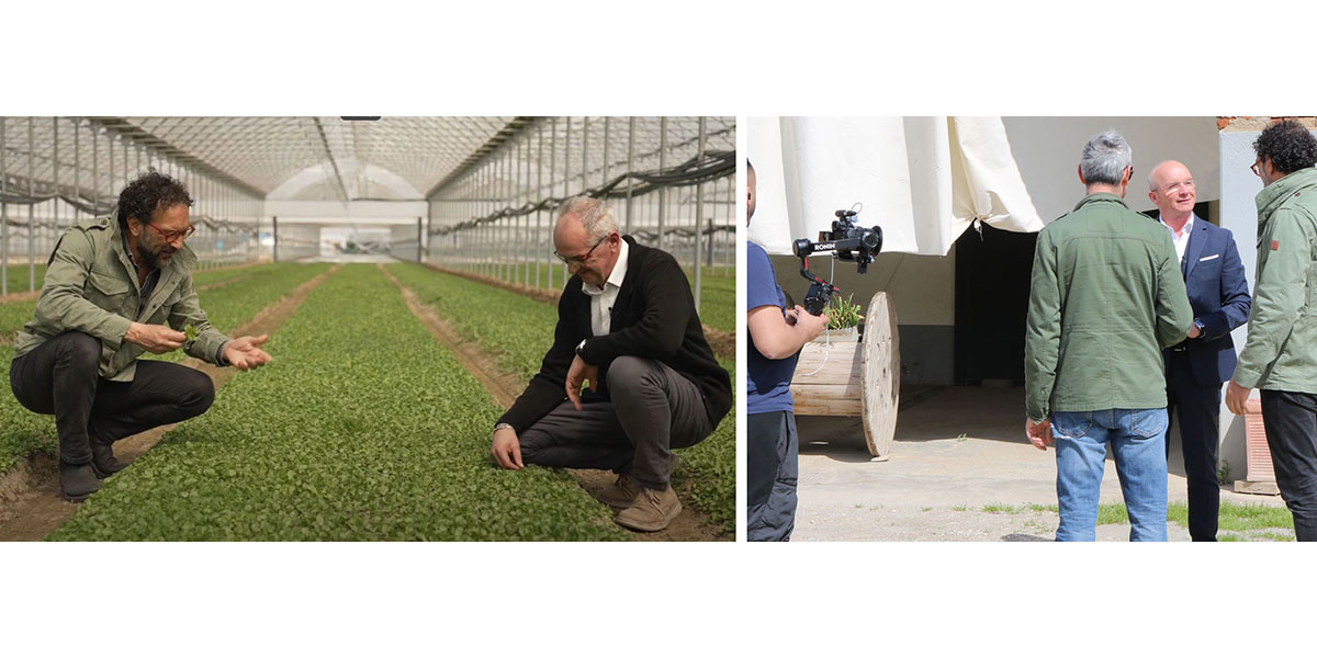 La Linea Verde portavoce della IV gamma su Rai 1 - Italiafruit News