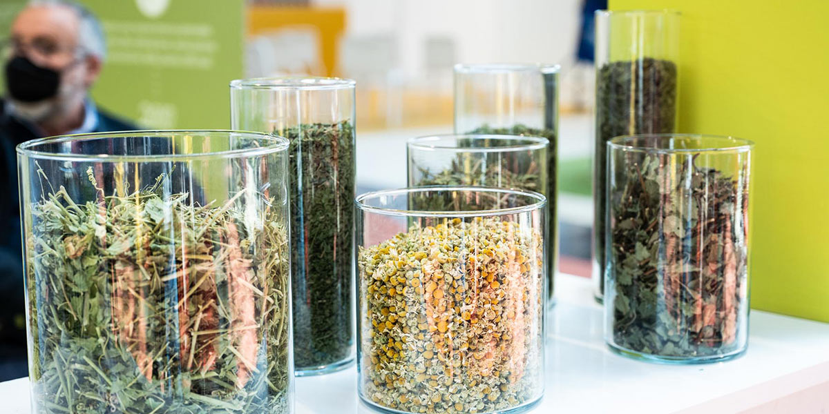 A Macfrut torna Spices & Herbs Global Expo - Italiafruit News