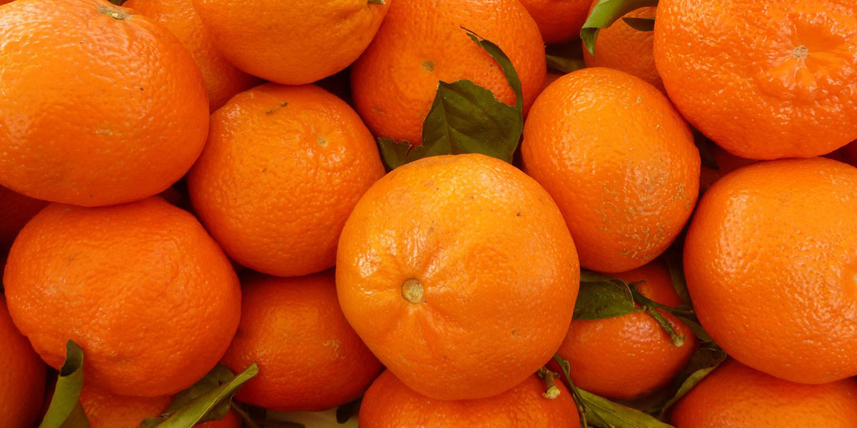 Tang Gold fa centro in Italia: licenze al completo per il mandarino ...