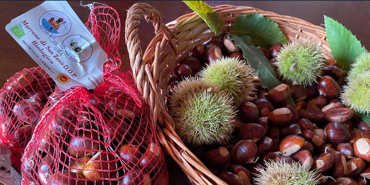 Il Marrone di San Zeno festeggia 20 anni di Dop - Italiafruit News