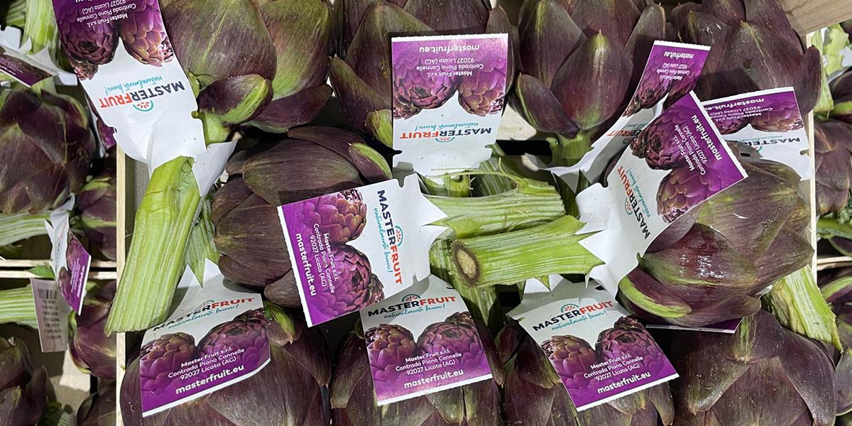 Il carciofo a residuo zero, la scommessa vinta da Master Fruit ...