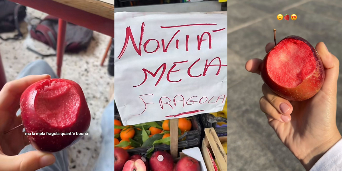La rivoluzione delle mele: Kissabel guida il boom della “mela fragola ...