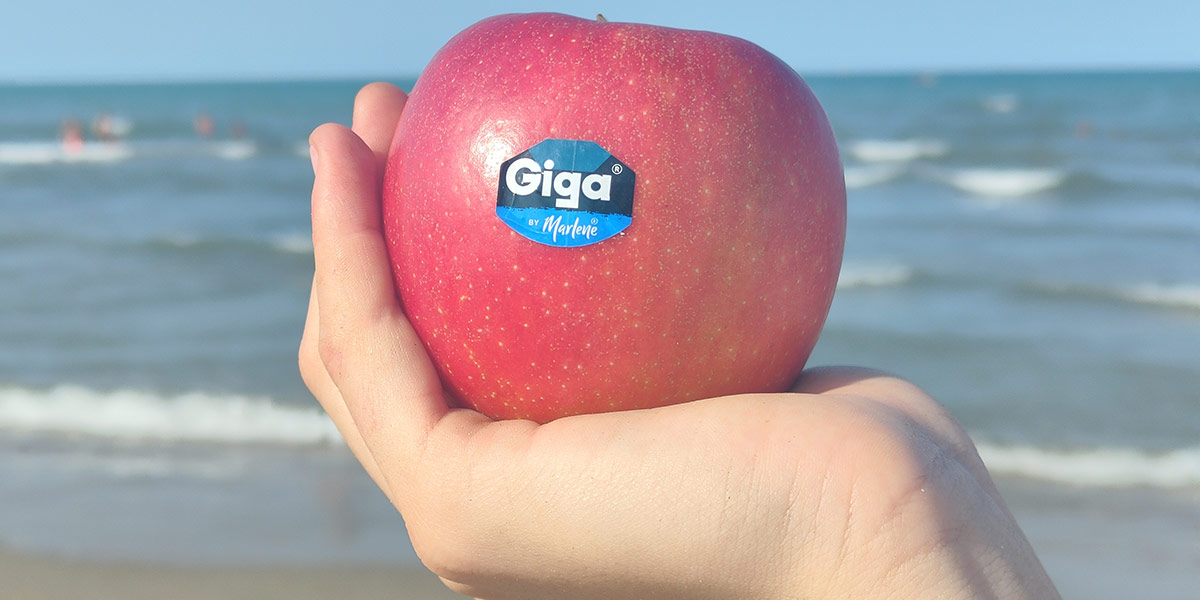 Giga conquista le spiagge italiane - Italiafruit News