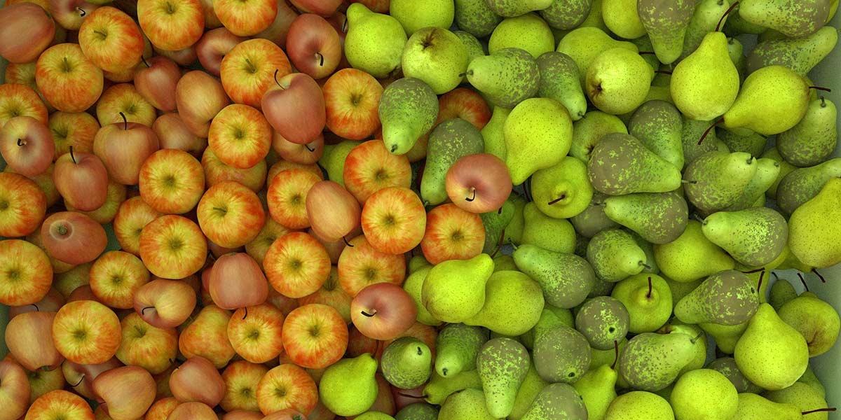 Mele e pere, export sudafricano in calo - Italiafruit News