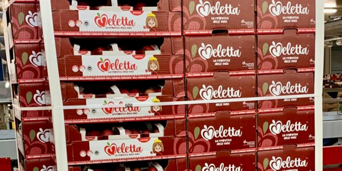 La Melannurca ha la sua reginetta - Italiafruit News