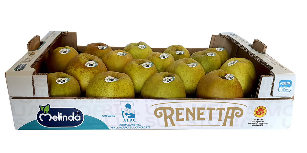 La Mela Renetta Dop rinnova il legame con AIRC - Italiafruit News