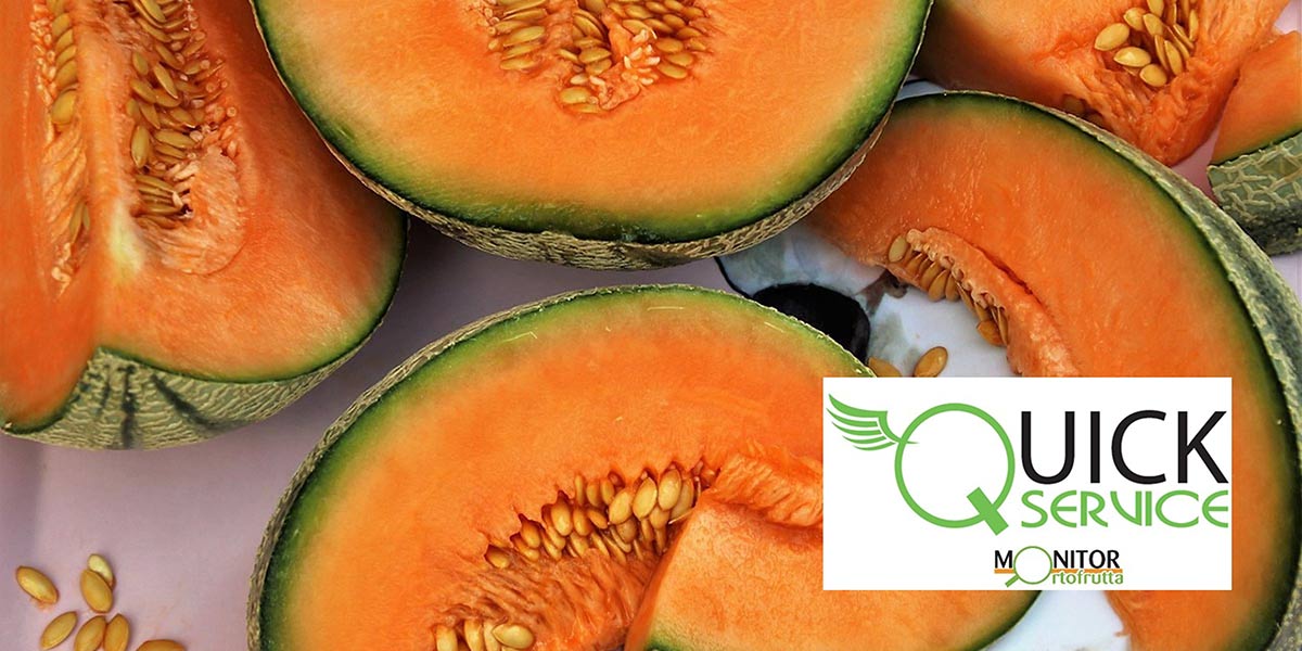 Prezzi alle stelle per i meloni a giugno - Italiafruit News
