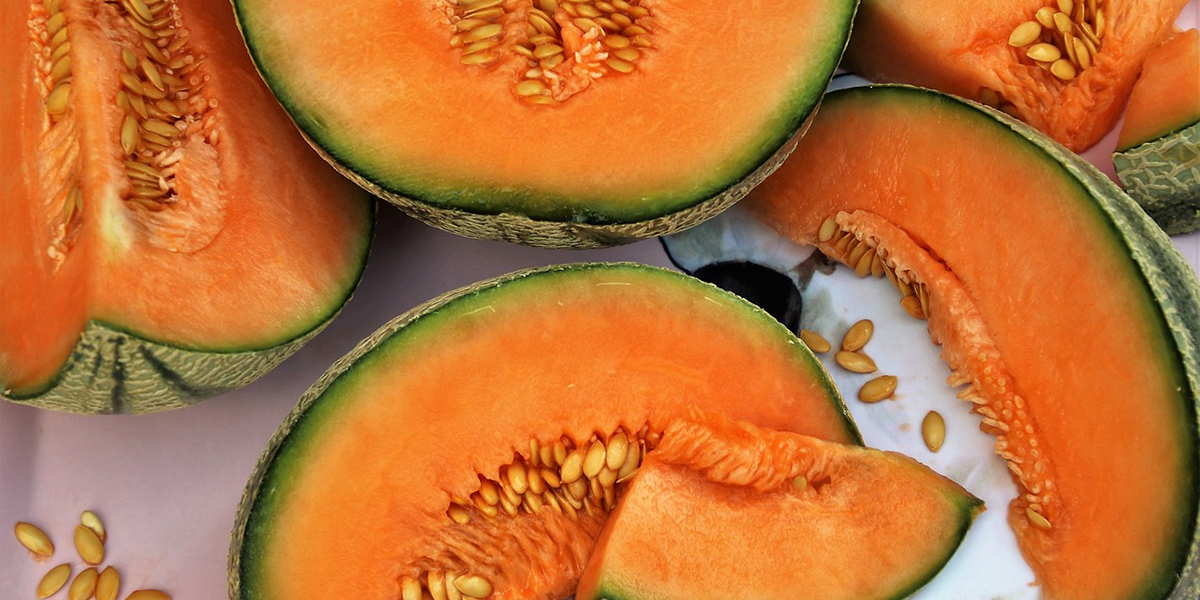 Mangeremo meloni (italiani) tutto l’anno? - Italiafruit News