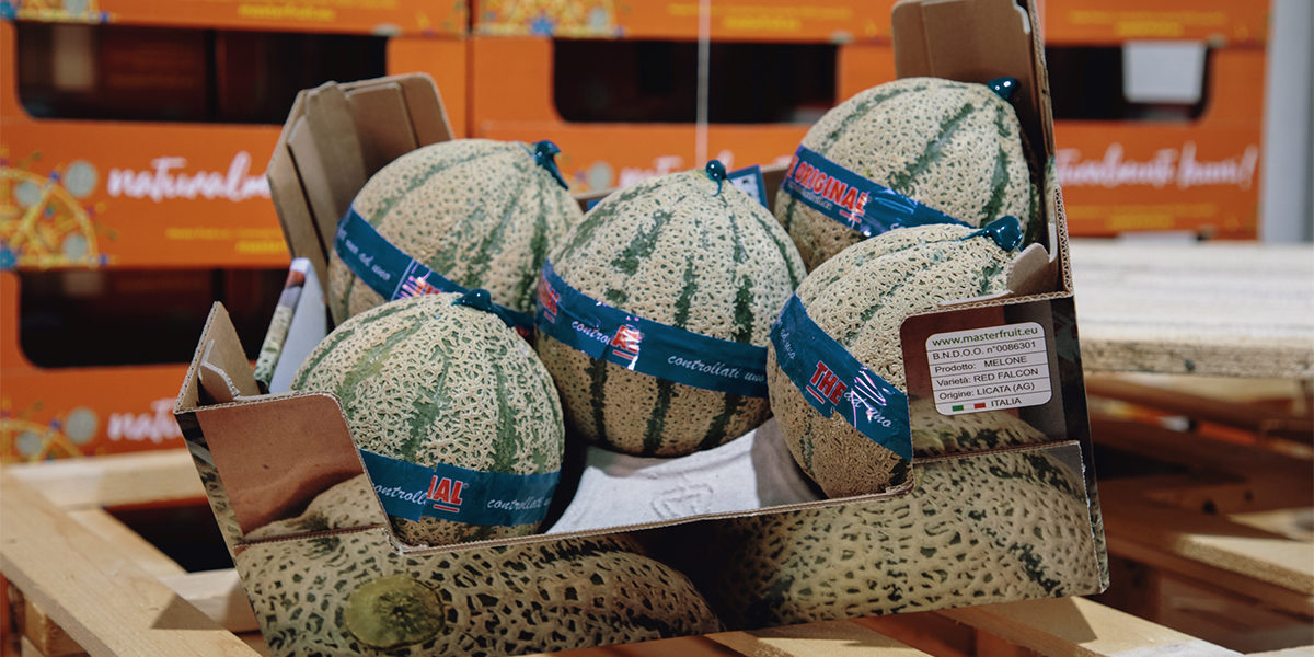 Meloni, al via la campagna per Master Fruit - Italiafruit News