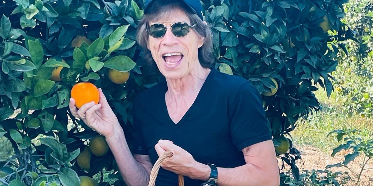 Mick Jagger beato tra le arance - Italiafruit News