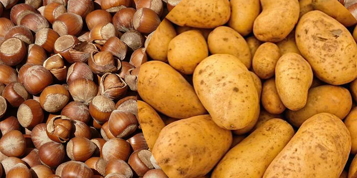 Nocciole alle stelle, patate in calo: due mercati agli opposti ...