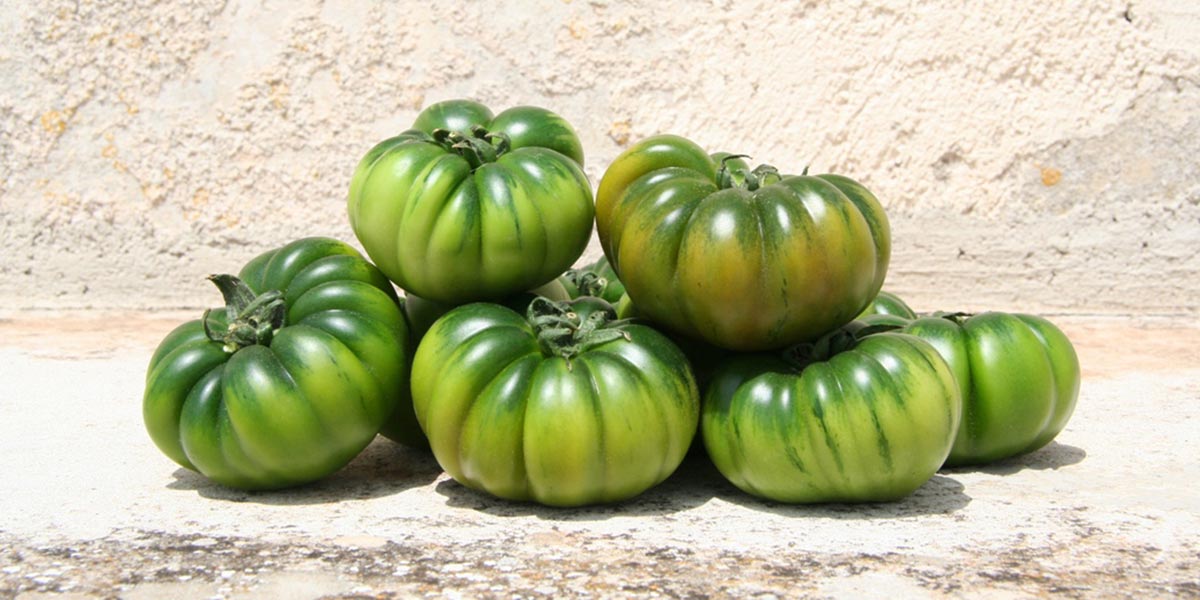 Marmande, con Nunhems un assortimento per tutti i periodi - Italiafruit ...