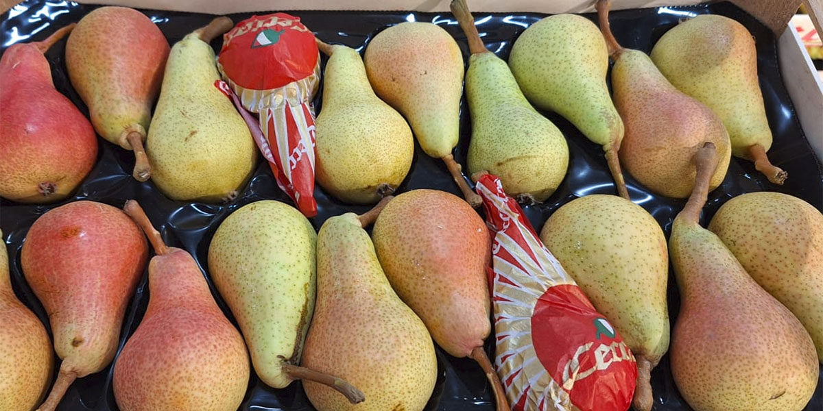 Pere italiane: frutti invisibili di fine estate - Italiafruit News