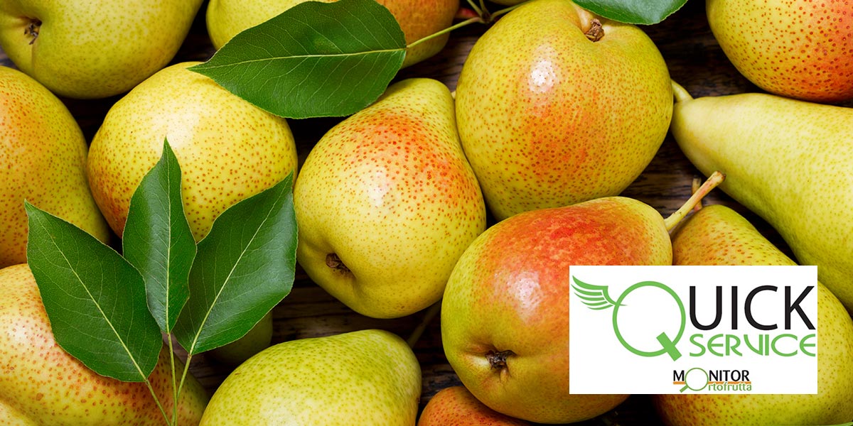 Week 9: l'ortofrutta arranca rispetto all'LCC - Italiafruit News