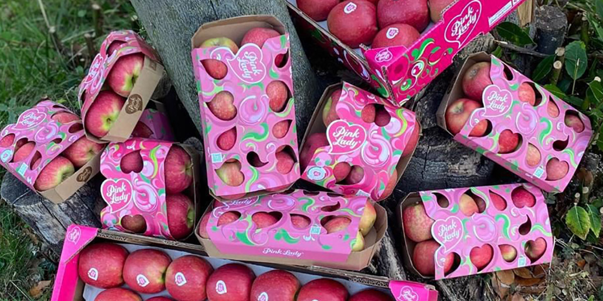 Pink Lady Day: i bambini protagonisti della raccolta delle mele ...