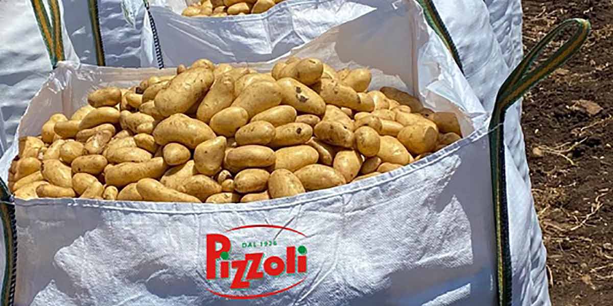 Pizzoli rafforza la filiera tra tradizione e nuove tendenze gourmet ...
