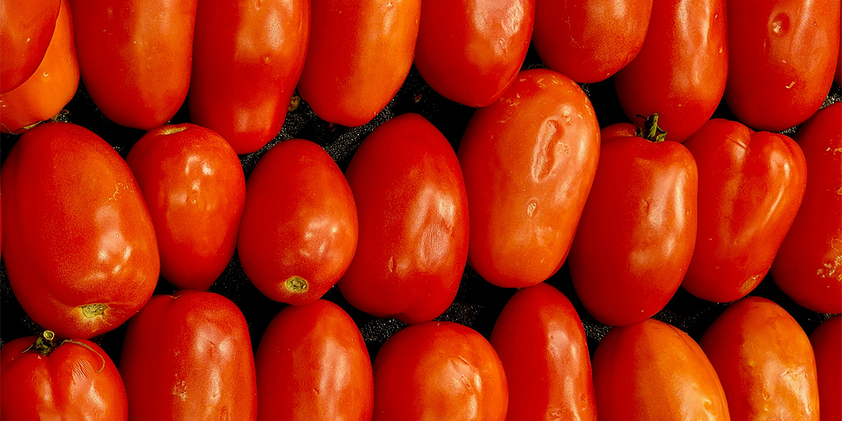 Pomodoro da industria, l’appello di Anicav: “Coesione unica risposta ai ...