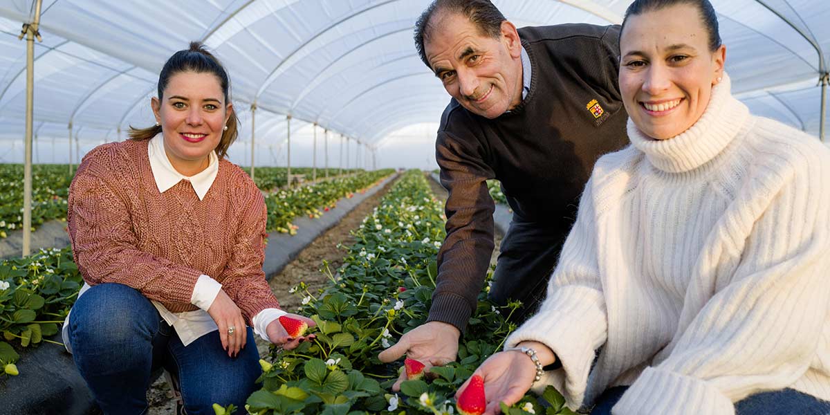 Op Primo Sole è una «Stella del Sud» - Italiafruit News